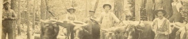 Descendants | The McGehee Family